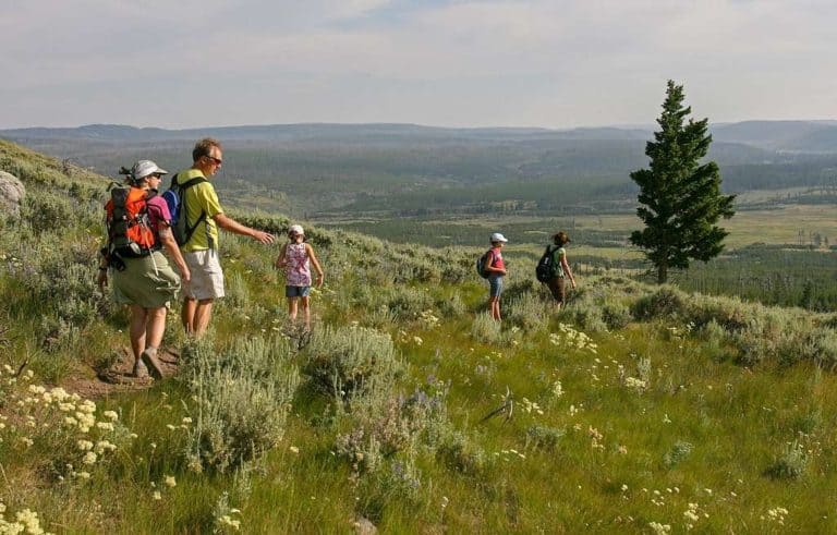 Hiking Clubs (Join A Club For A Better Hiking Experience!)