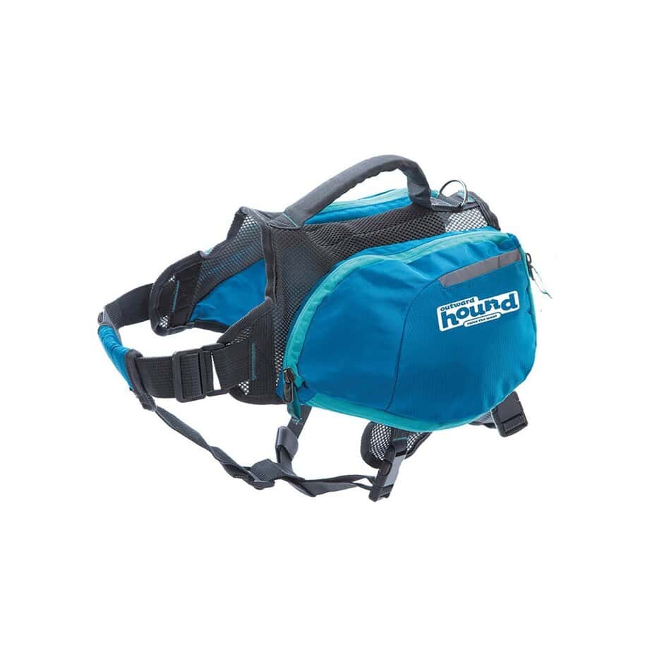 The Best Backpack For Dogs: What Are The 7 Best?