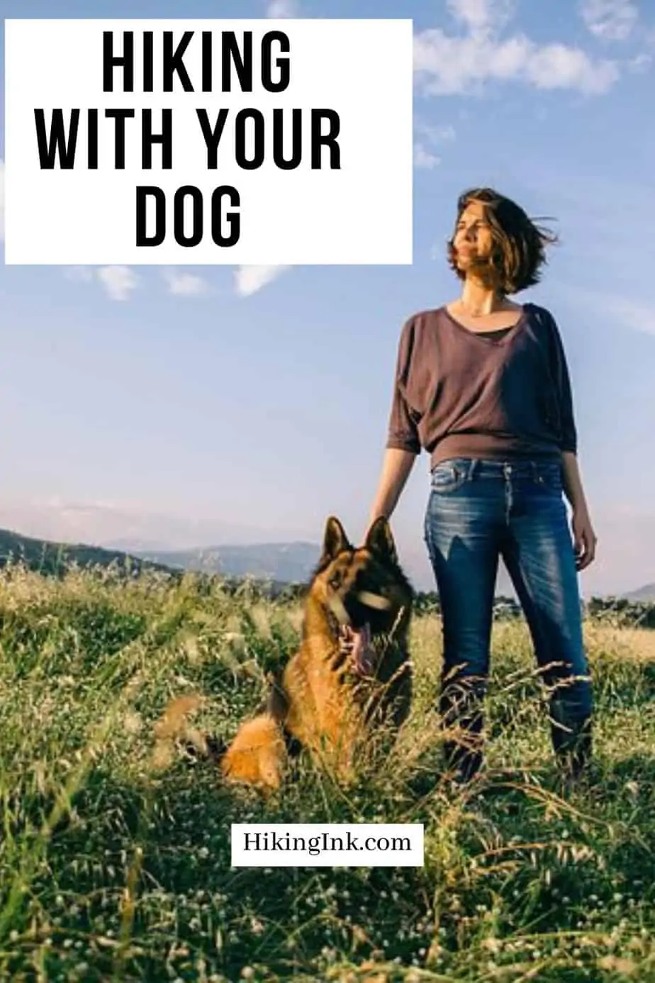 Hiking With A Dog - What Do You Need To Know?