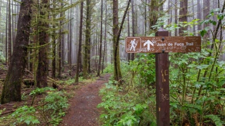 7 Tips To Keep You Safe When Hiking At Night - HikingInk
