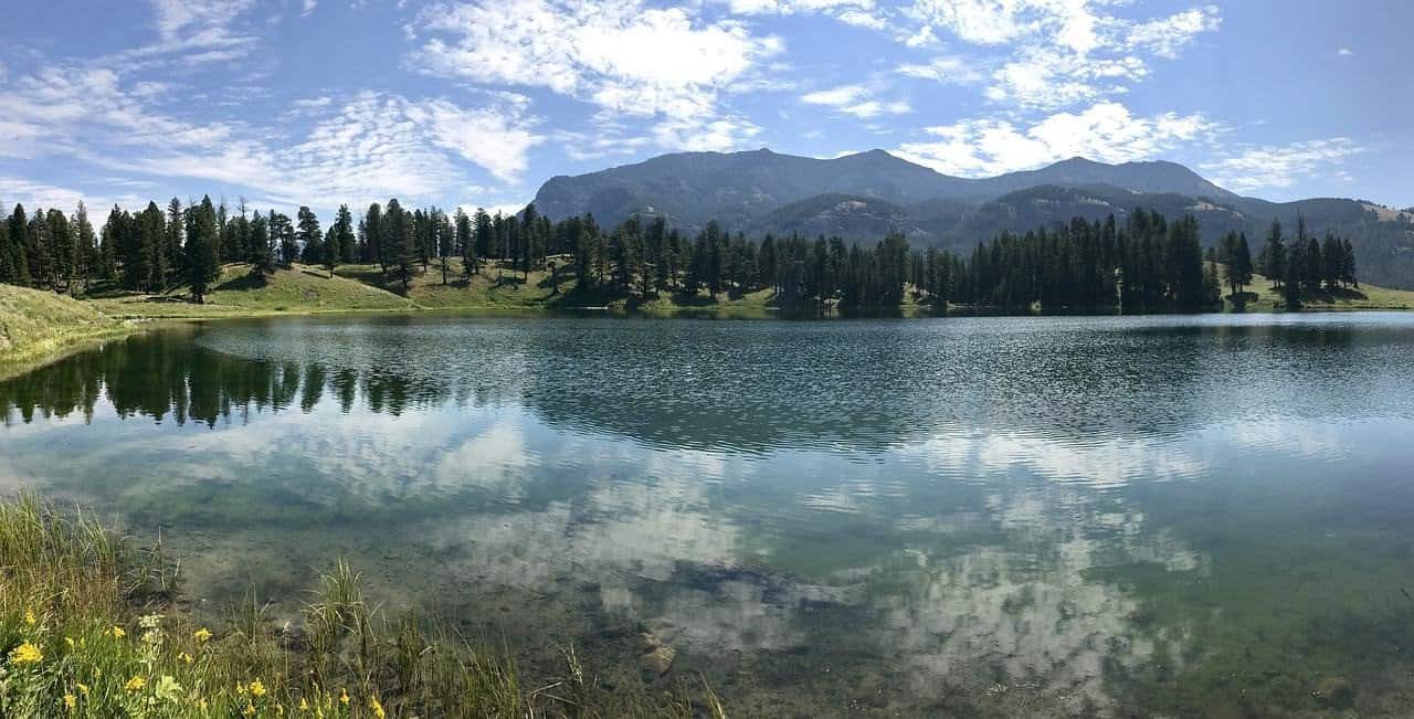 America Is Beautiful Pass: The Complete Guide - HikingInk