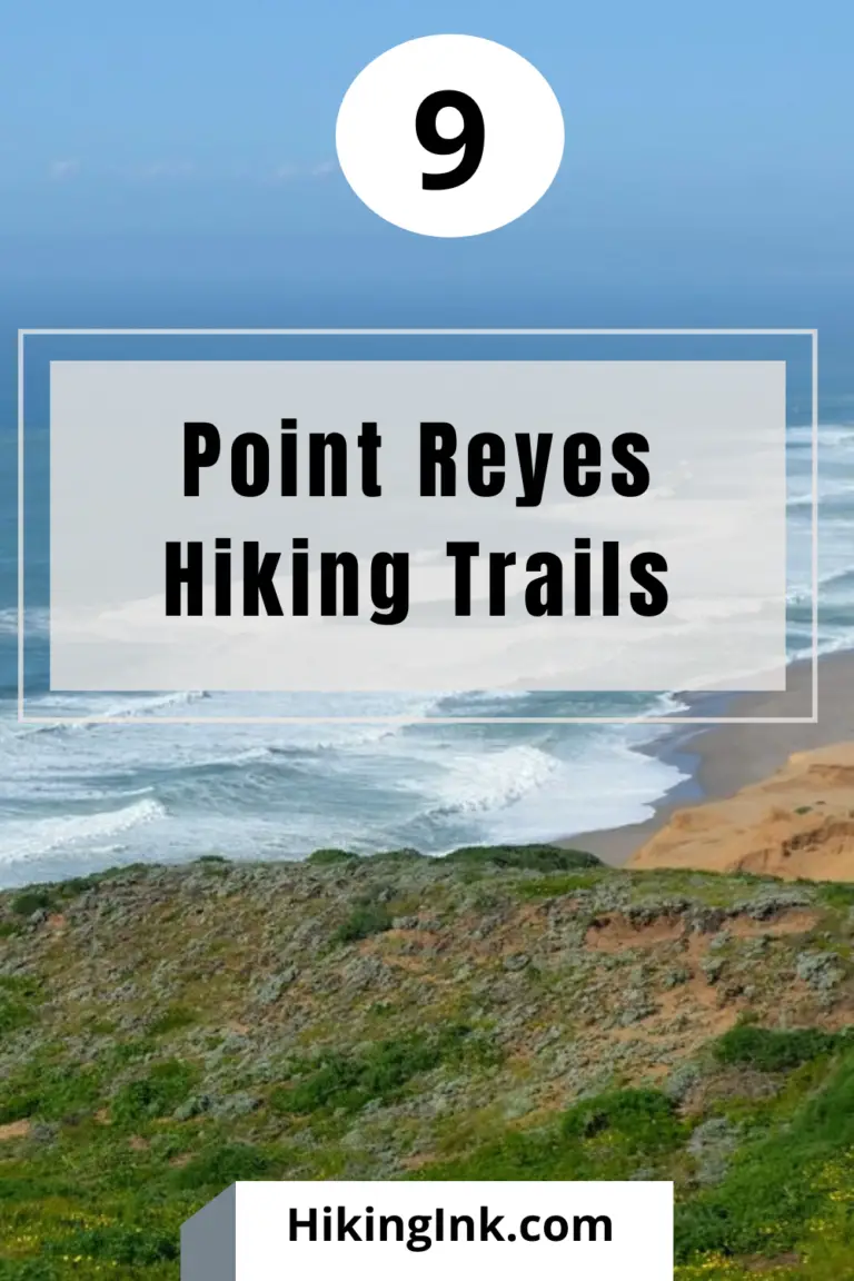 9 Best Hikes In Point Reyes National Seashore