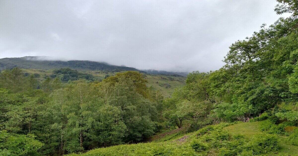9 Fun Hikes Near Seattle WA To Try - HikingInk