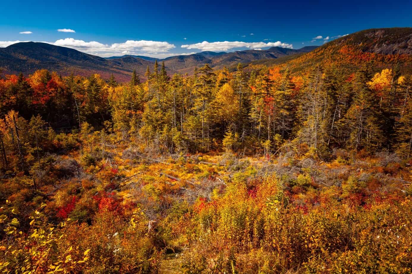 10 Easy Hikes In The White Mountains - HikingInk