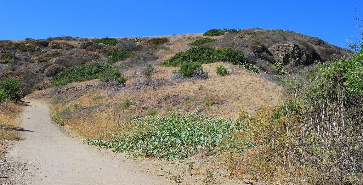 9 Best Hiking Trails In Laguna Beach - HikingInk